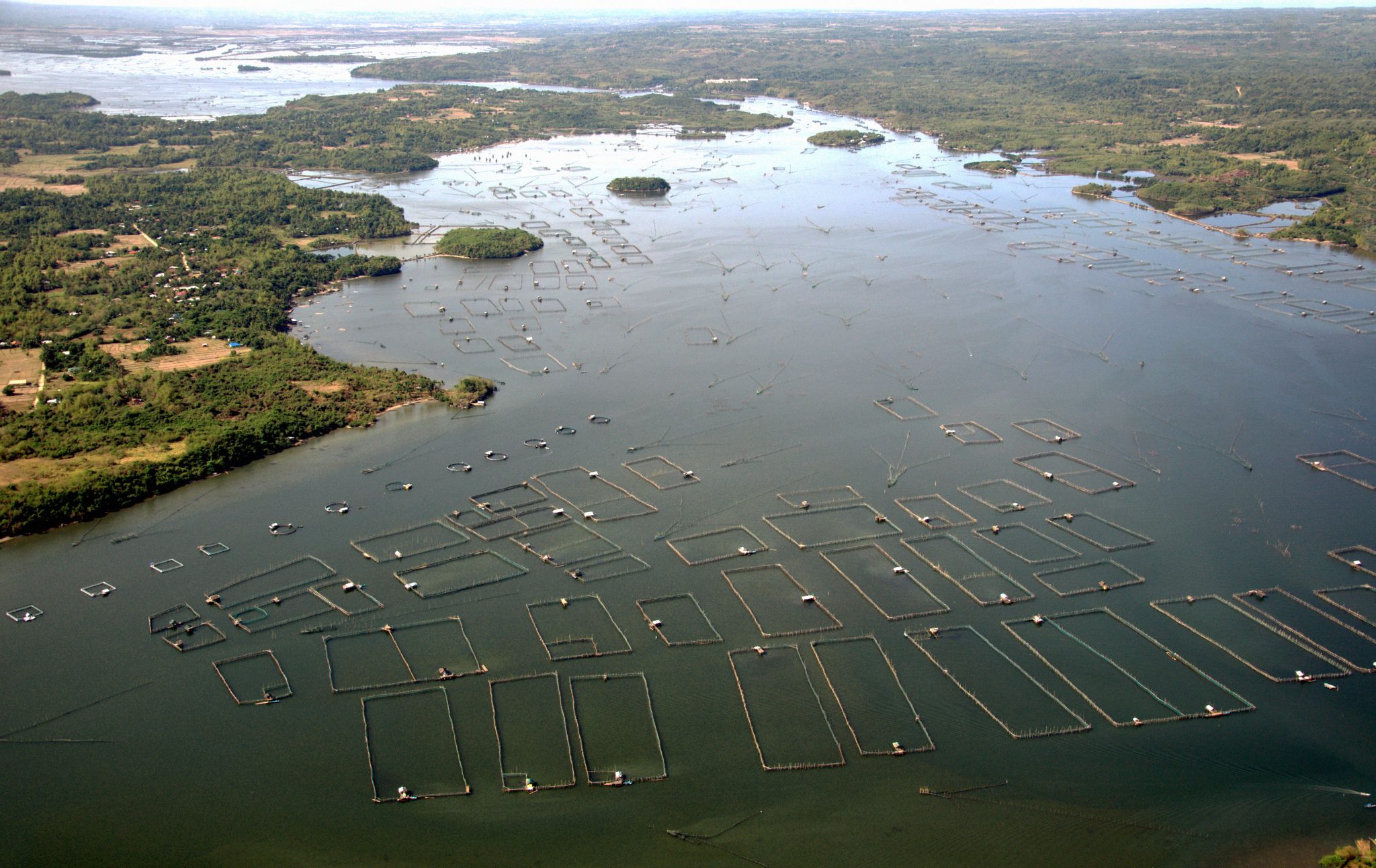 In Full Bloom: Predicting HAB events using A.I. - UP Marine Science ...