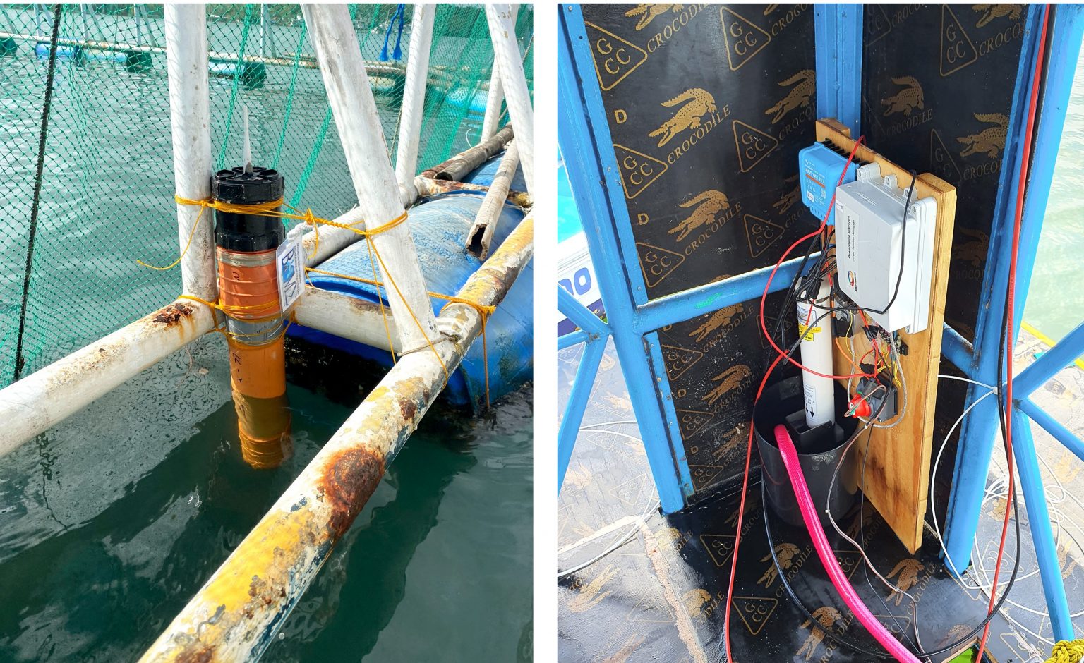 In Full Bloom: Predicting HAB events using A.I. - UP Marine Science ...