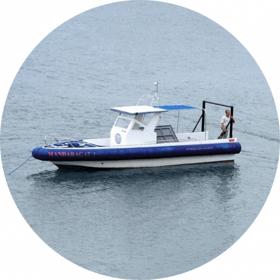 Floating Assets - UP Marine Science Institute