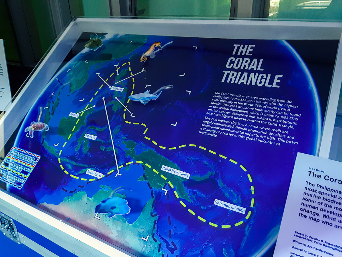 Ocean Color and Coastal Oceanography Laboratory - UP Marine Science ...