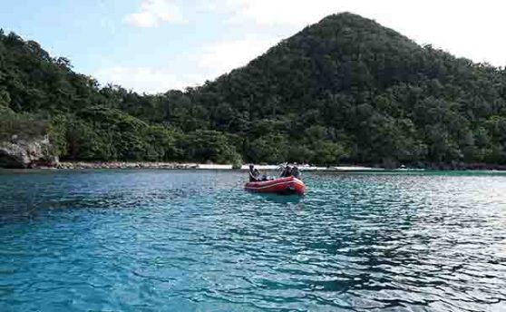 MSI Academics - UP Marine Science Institute