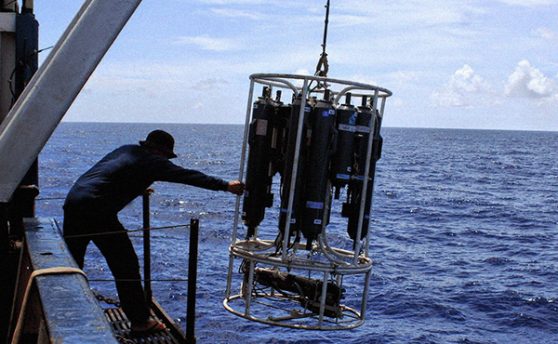 About MSI - UP Marine Science Institute