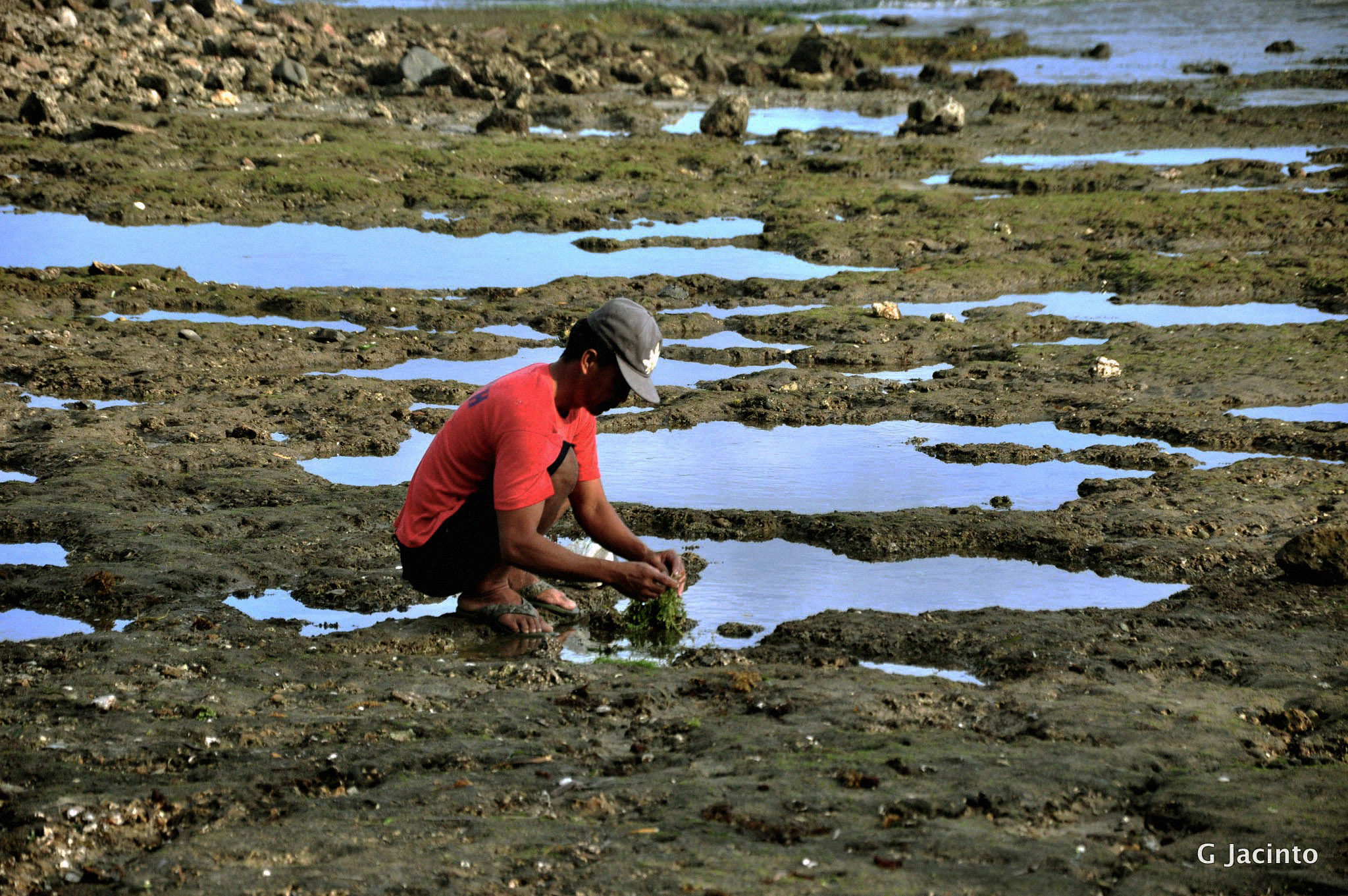 BML Complex - UP Marine Science Institute