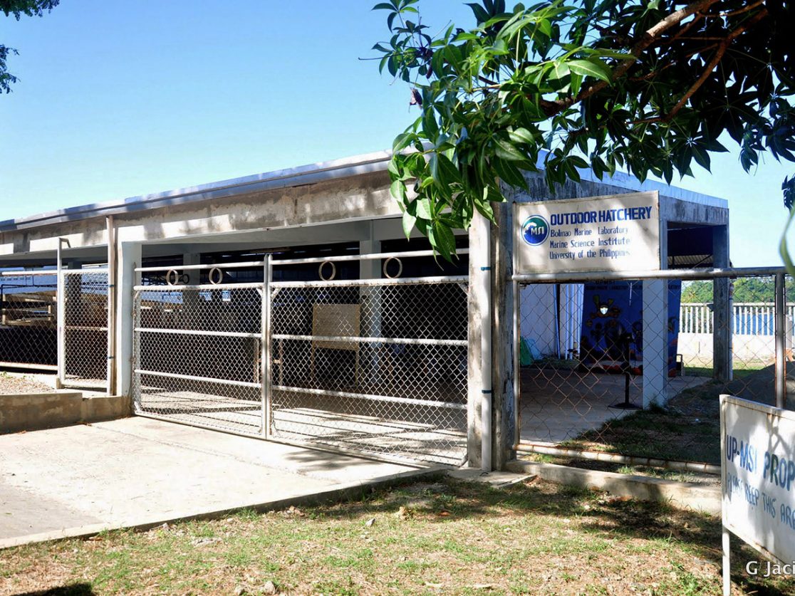 BML Complex - UP Marine Science Institute