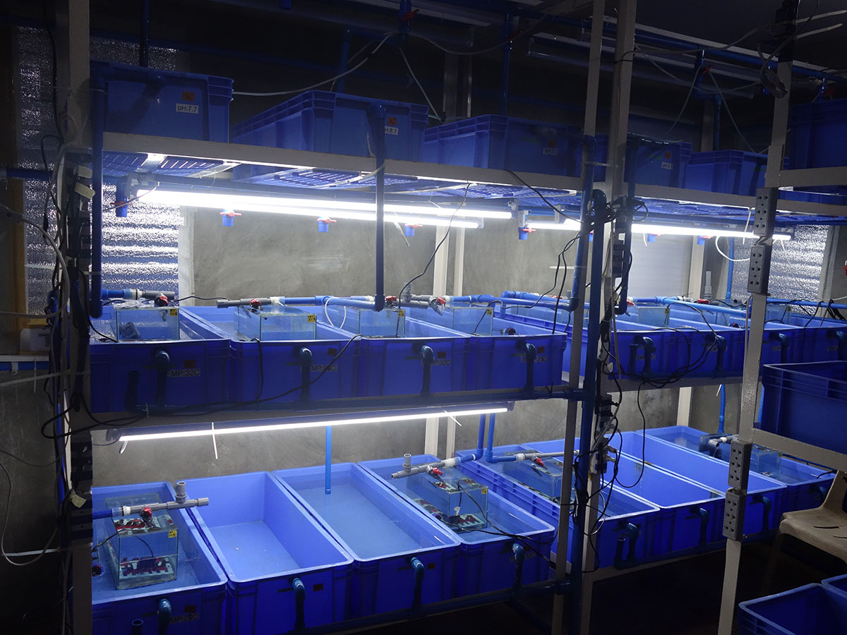 Marine Biogeochemistry Laboratory - UP Marine Science Institute