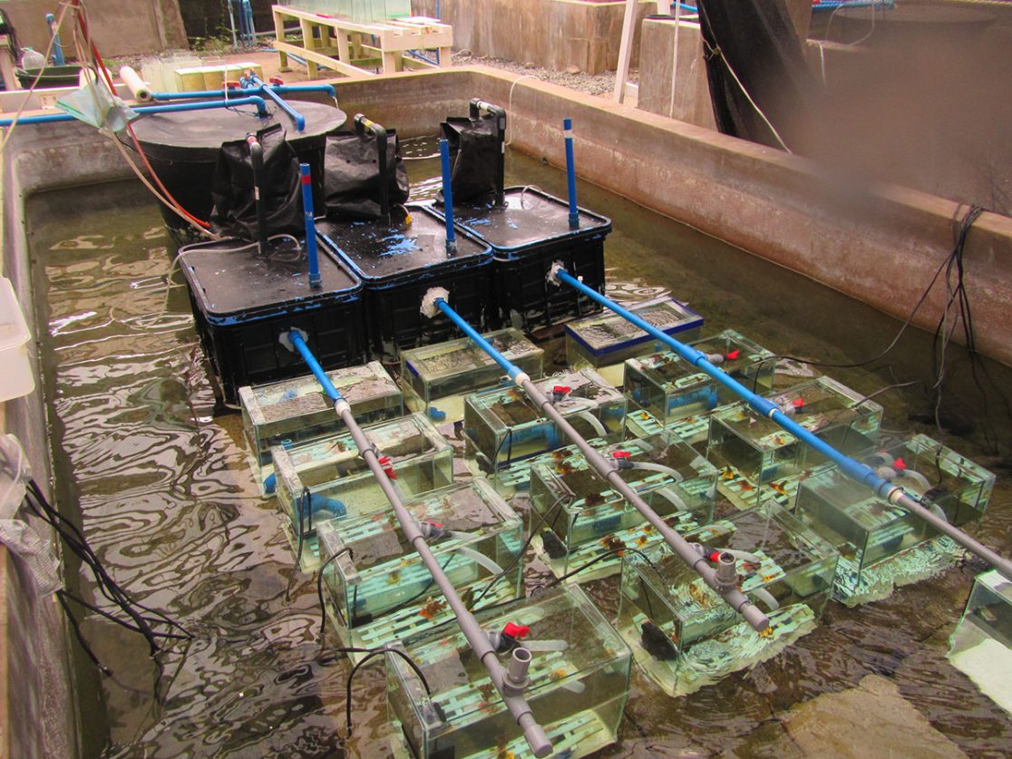 Marine Biogeochemistry Laboratory - UP Marine Science Institute