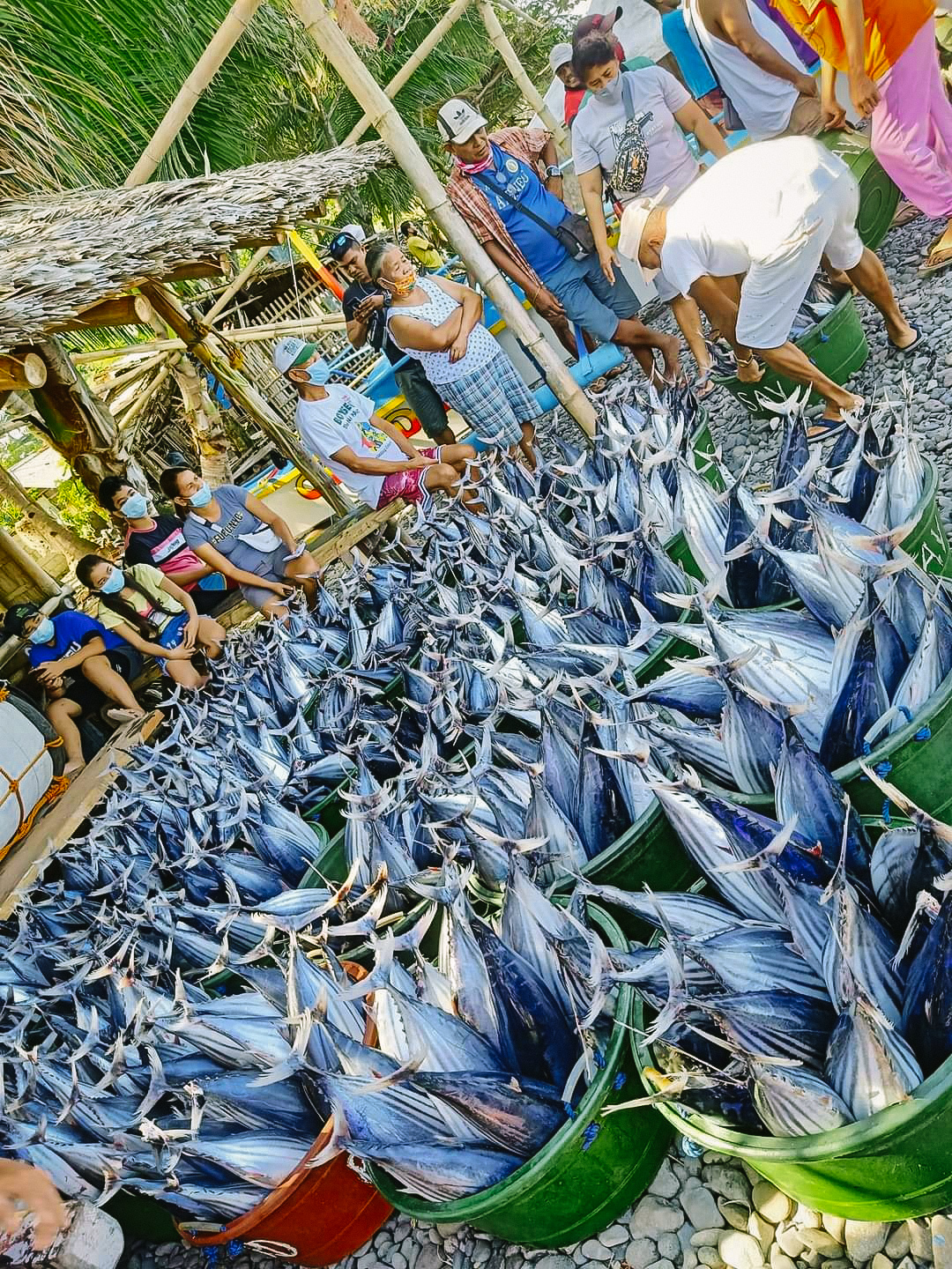 Fishing in a Vortex: How ocean currents affect biological productivity - UP Marine Science Institute