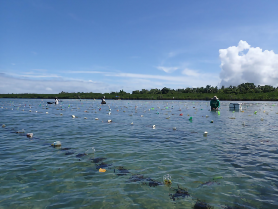 Seaweed as a Resilient Food Solution After a Nuclear War - UP Marine ...
