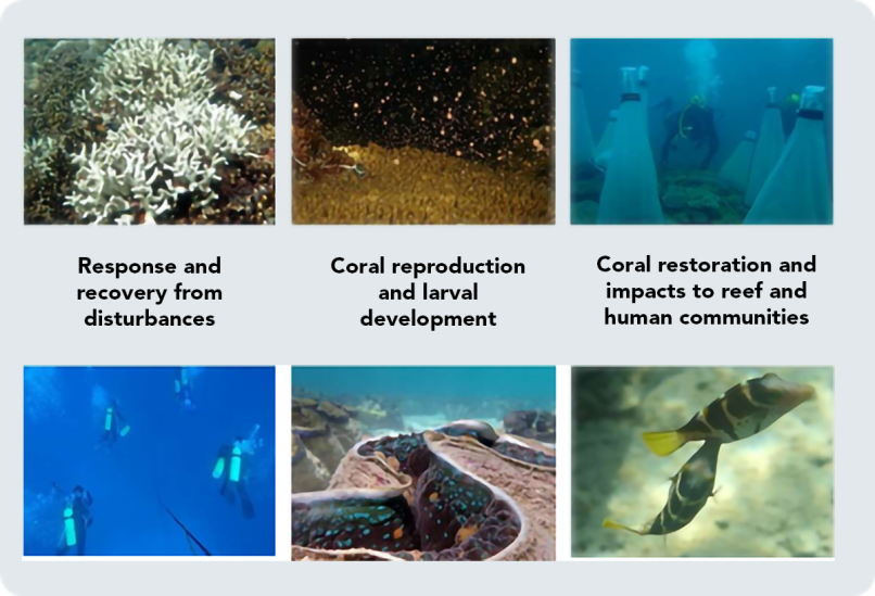 Coral Reef Ecology Laboratory - UP Marine Science Institute