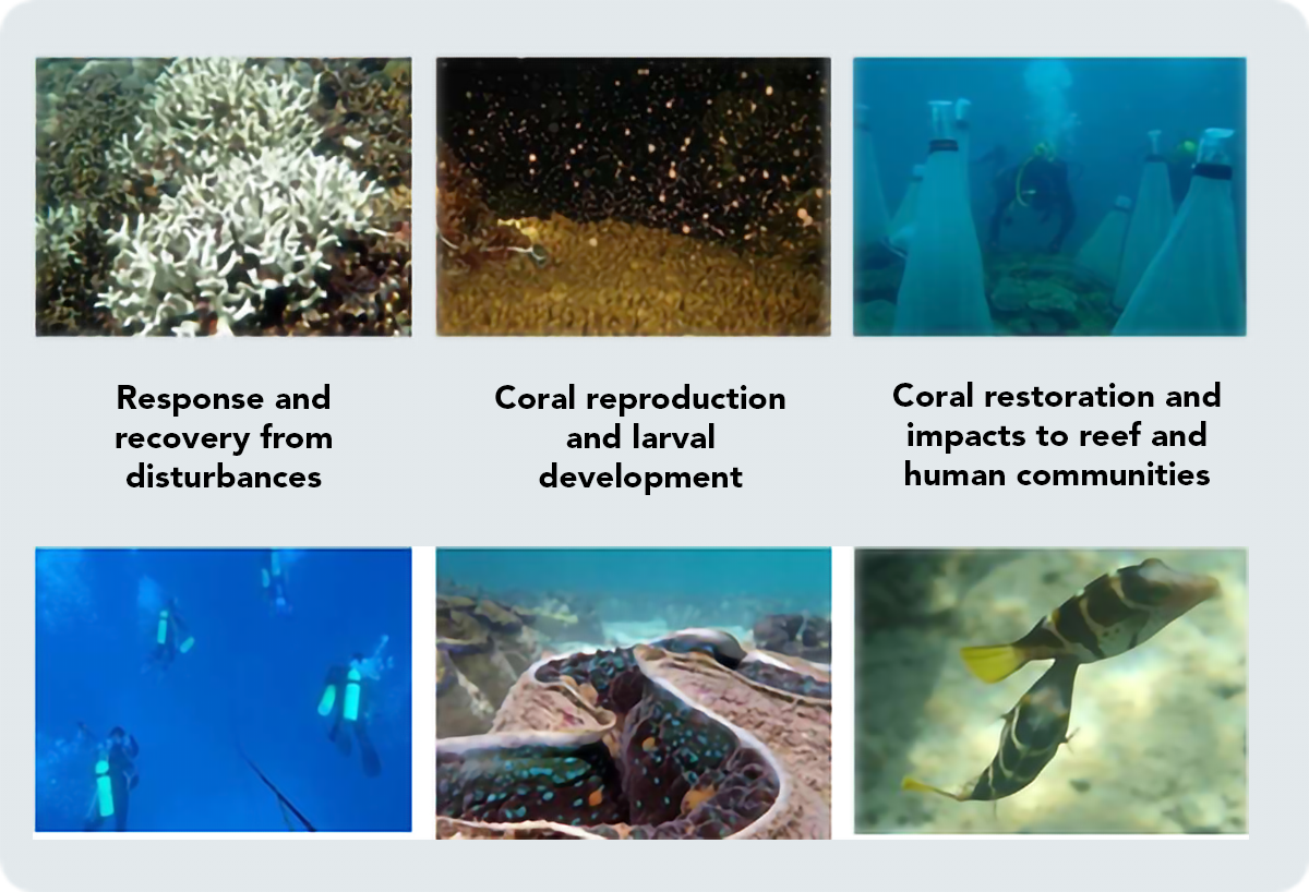 Coral Reef Ecology Laboratory - UP Marine Science Institute