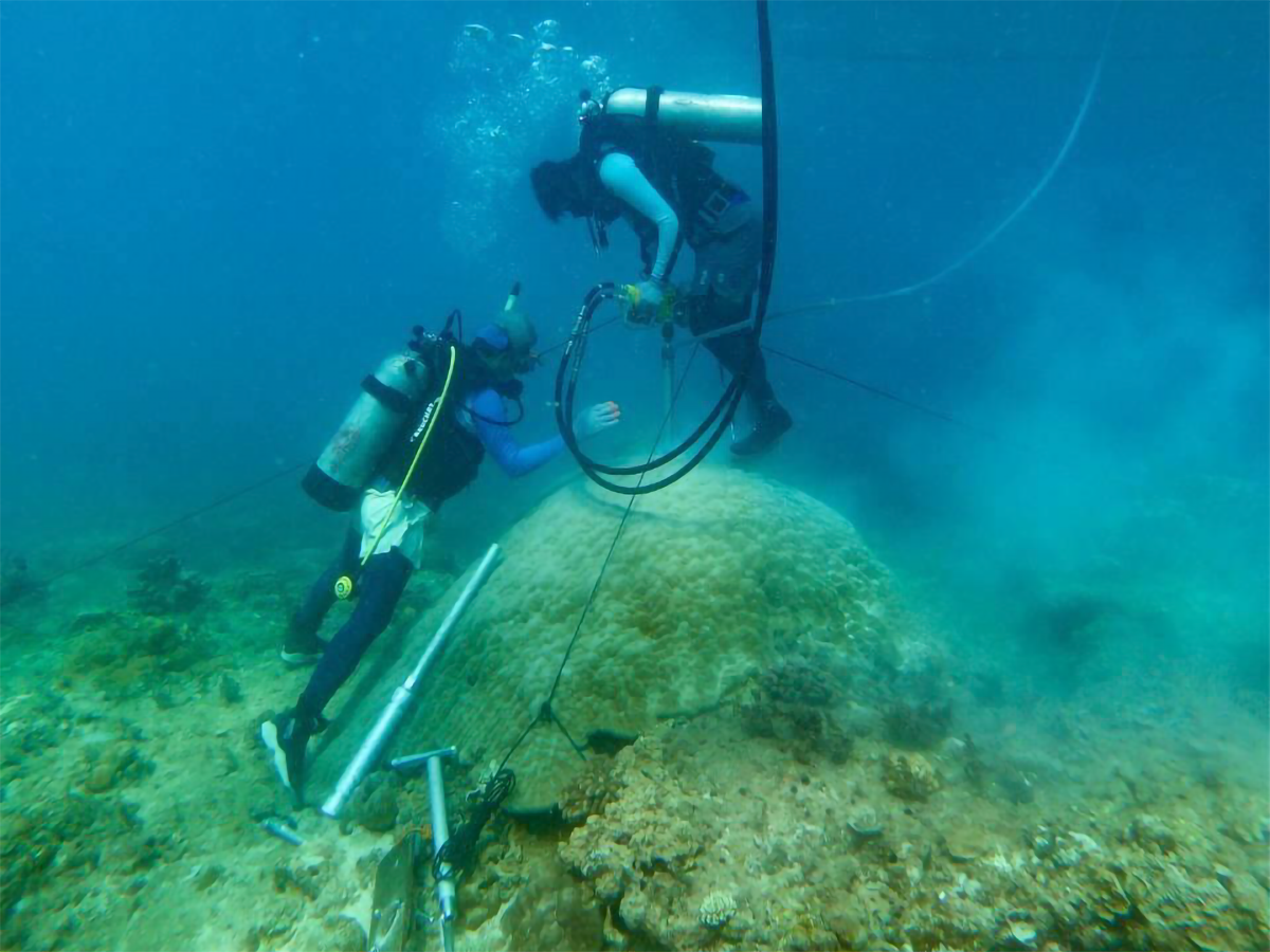 Sea Surface Temperature Reconstruction using 3D X-ray Computed ...