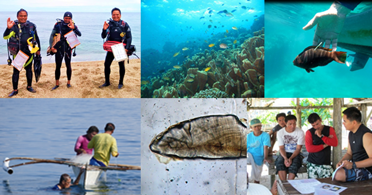 Marine Ecology and Conservation Laboratory - UP Marine Science Institute