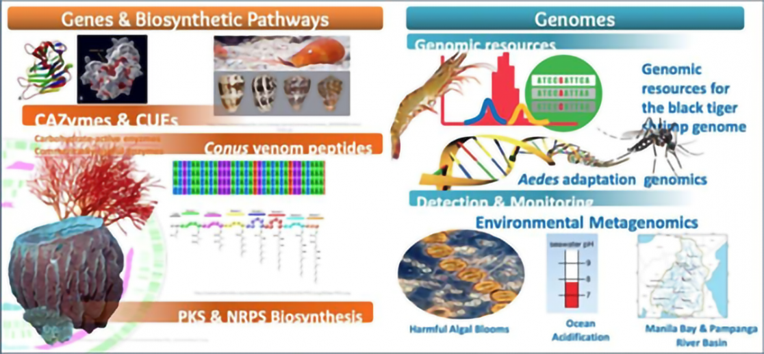 Marine Genomics and Molecular Genetics Laboratory - UP Marine Science ...